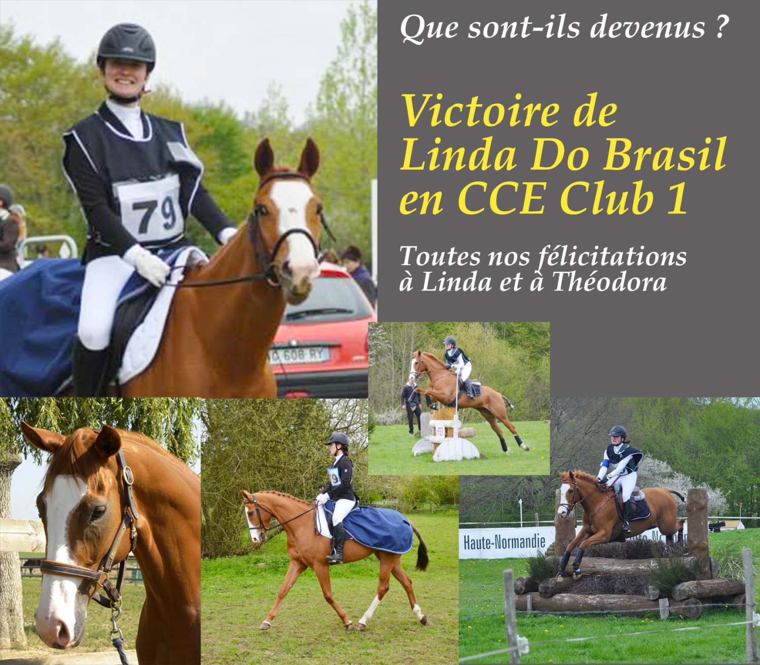QUE SONT-ILS DEVENUS ? Victoire de Linda Do Brasil en CCE ! - Chevaux ...