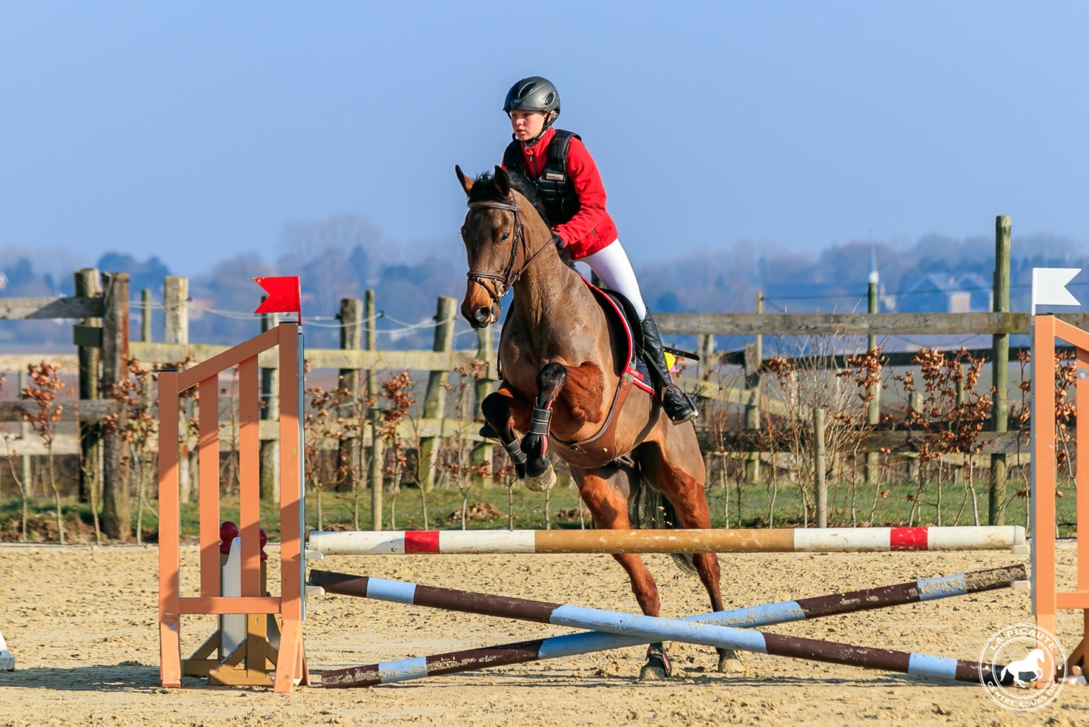 Première sortie en CSO pour Petard, notre ancien pensionnaire - Chevaux ...